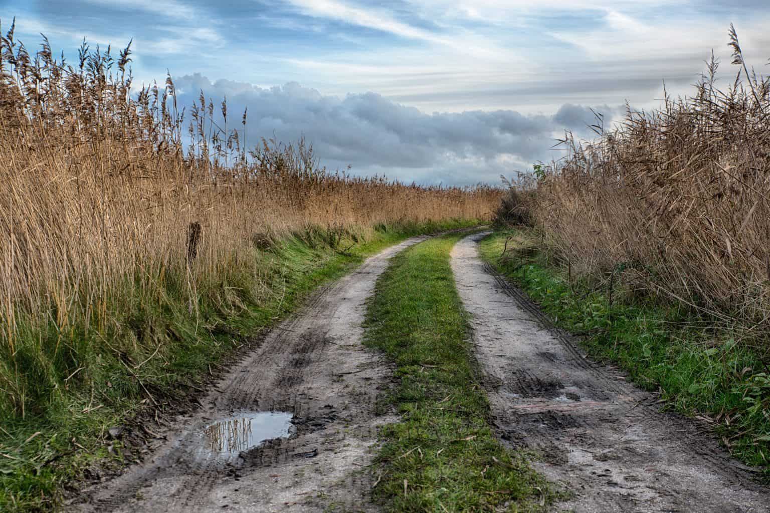 Maximizing Fleet Health: How to Navigate Rough Roads
